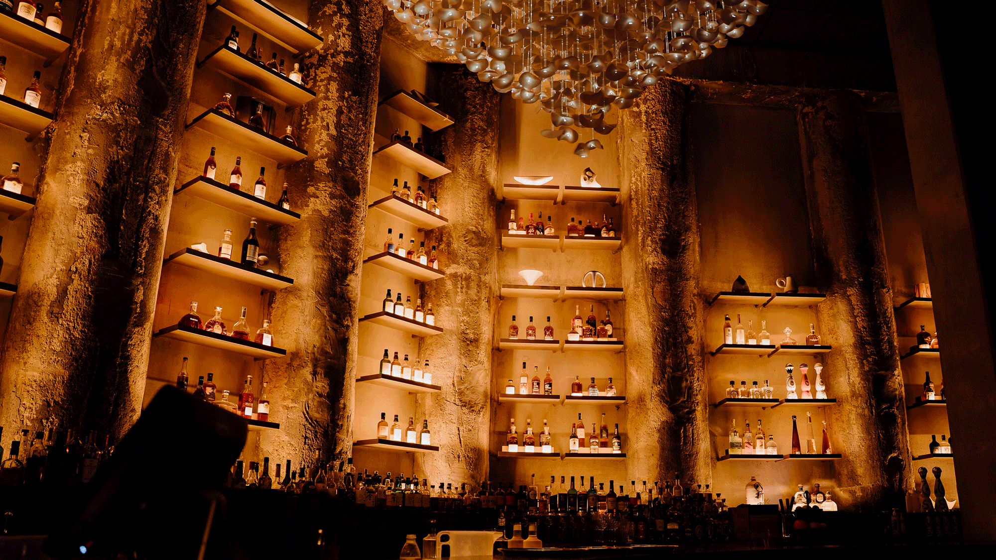 A bold, subterranean fine dining destination in South Yarra, Melbourne ...
